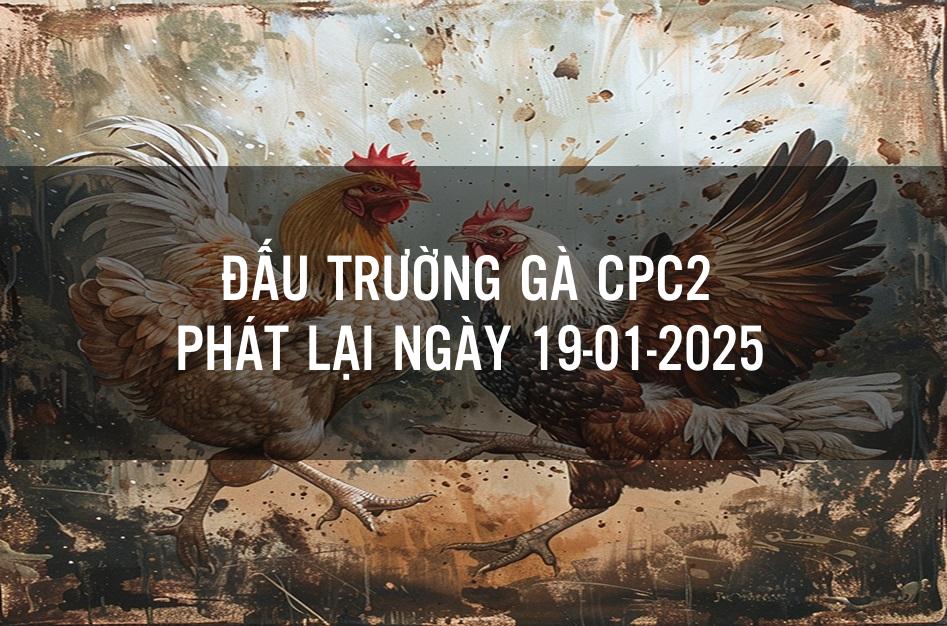 Phát lại đá gà CPC2 ngày 19-01-2025, có bình luận tiếng Việt